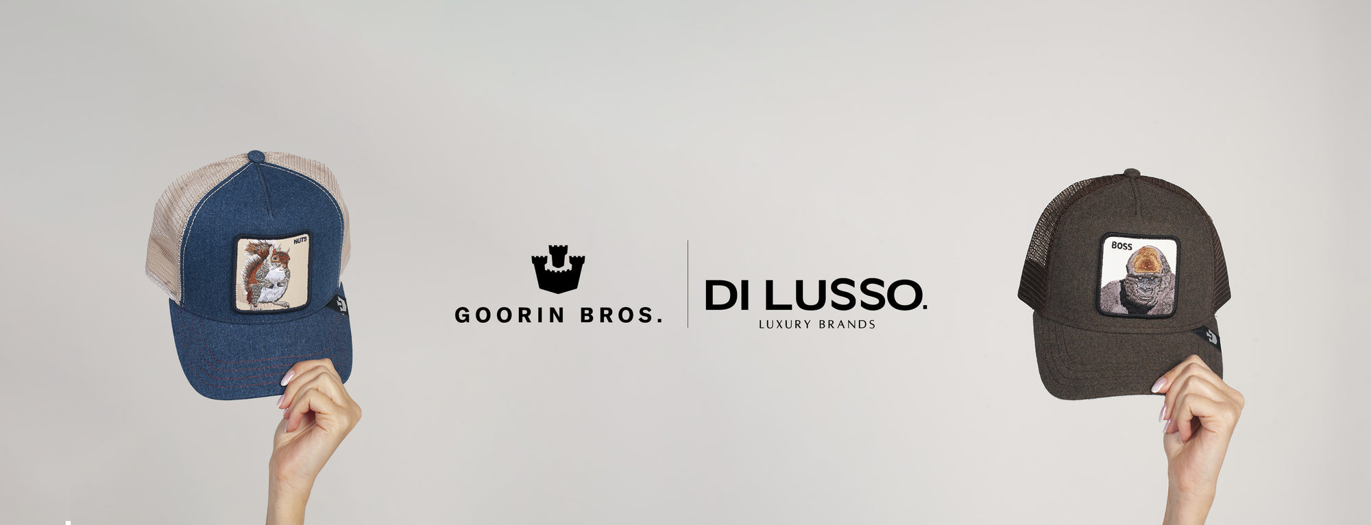 Di Lusso Multimarca de lujo con más de 14 tiendas a nivel nacional ...