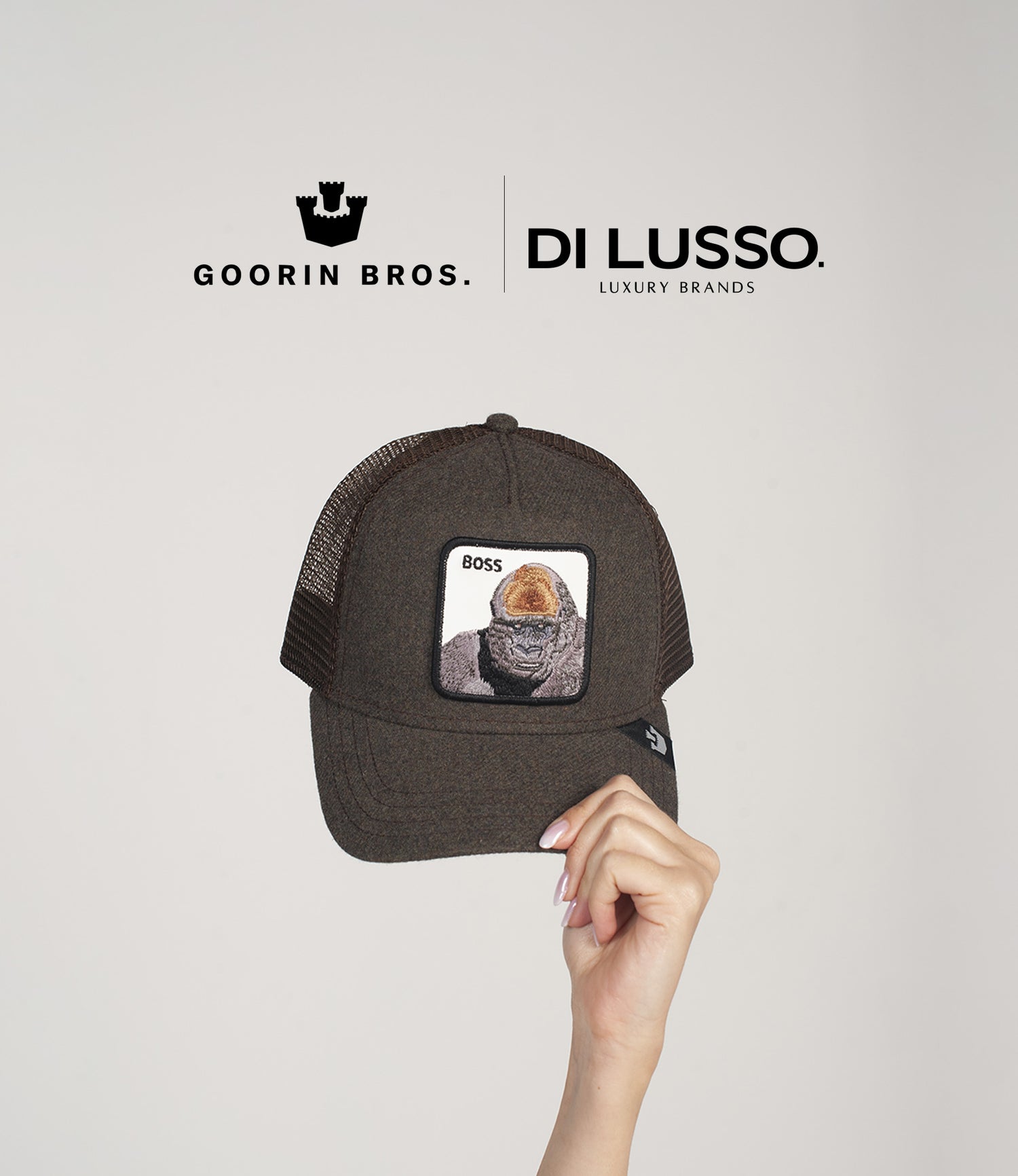 Di Lusso Multimarca de lujo con más de 14 tiendas a nivel nacional ...